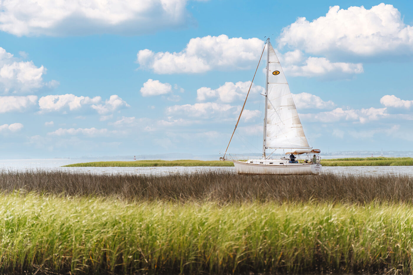 Eco Friendly Boat Practices to Try This Year | Morningstar Marinas